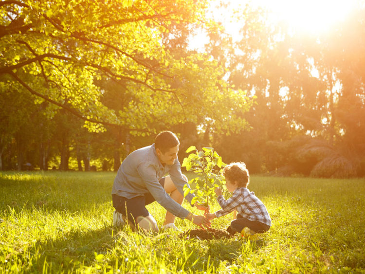 People and Environment - plastrans